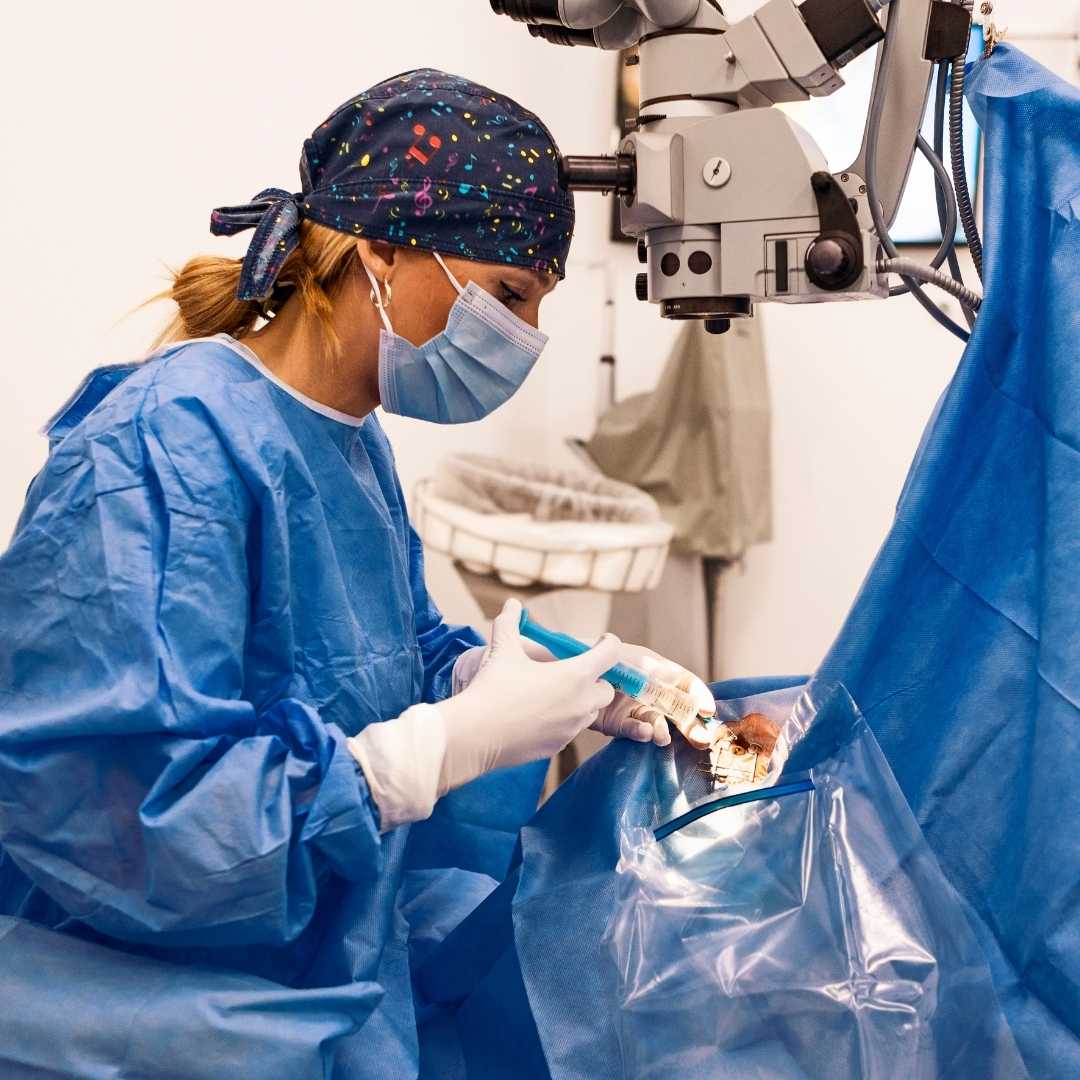 Ophtalmologic Surgical Drapes Pack - Dispack Medical